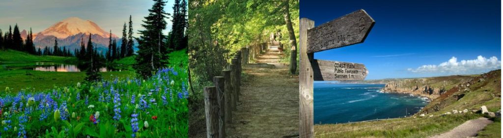 Beauty and the Brain: Preferences for Place - Farther to Go!